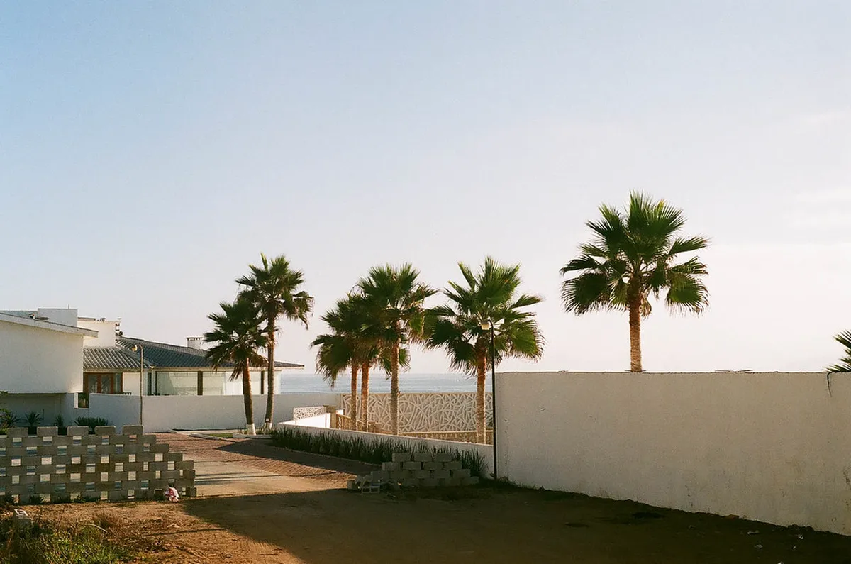 Must-Do Tijuana Adventures: Unique Cultural Escapes 2025